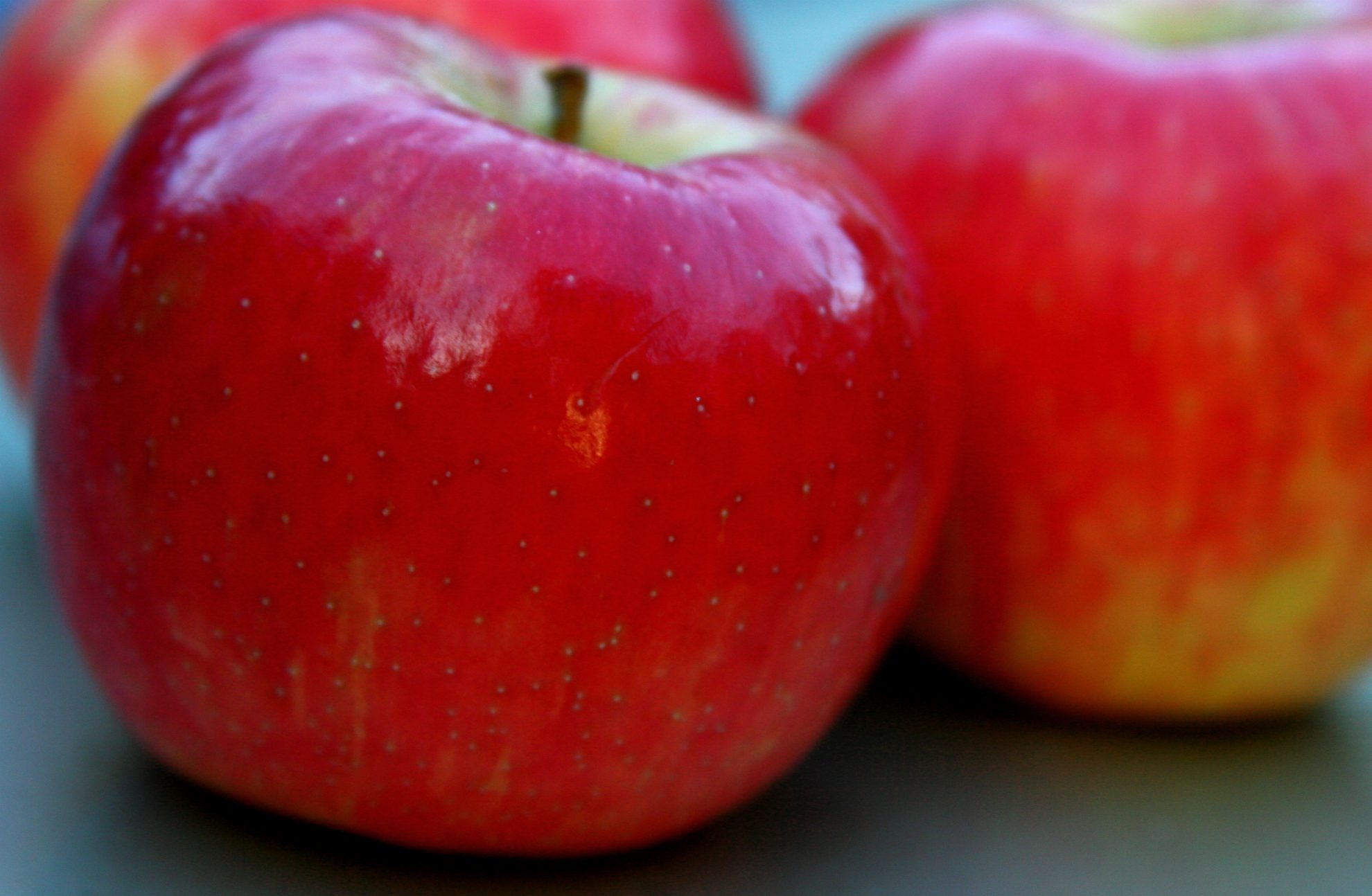 Produce Wholesaler